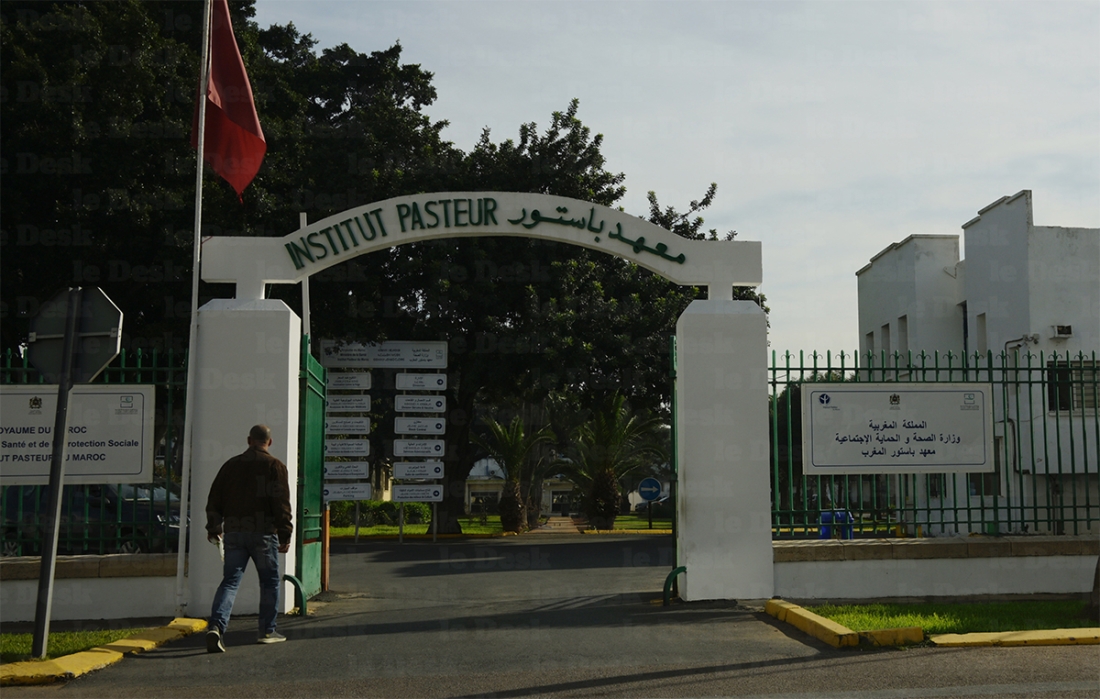L'Institut Pasteur du Maroc commande des vaccins à défaut d’être ...
