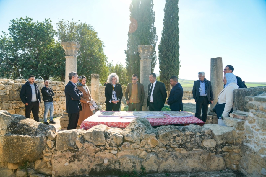 Pour 1,7 million de dirhams, la restauration des mosaïques à Volubilis ...