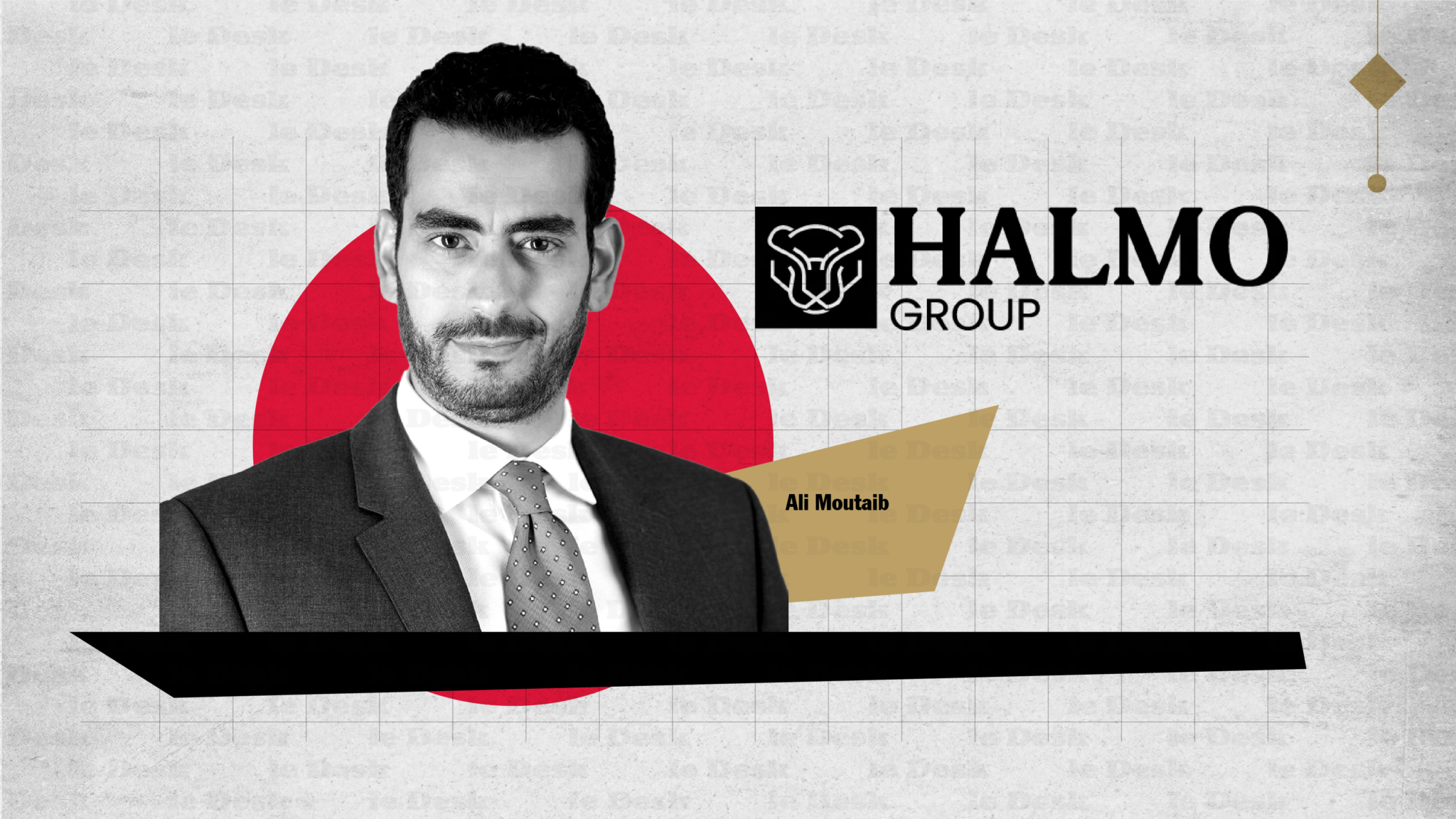 Ali Moutaïb quitte l'École de Guerre économique à Rabat et lance Halmo ...